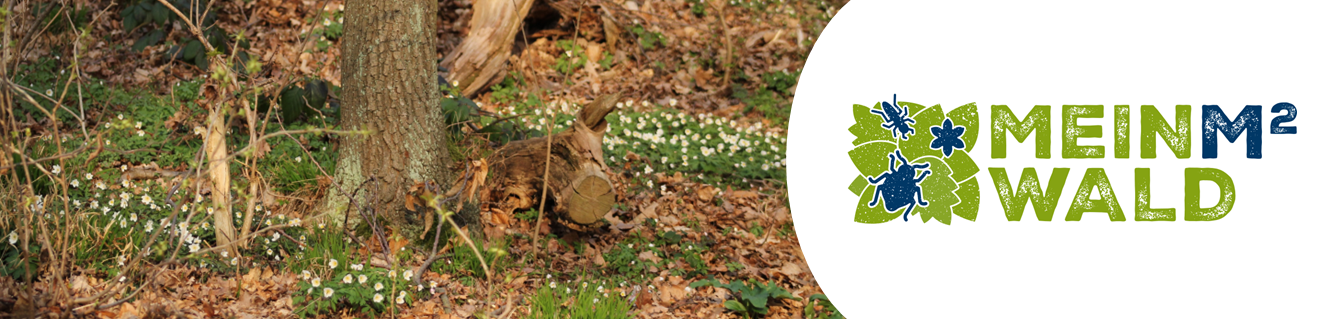 Mein m² Wald: SDW