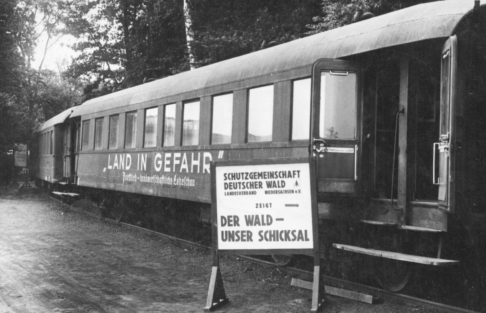 Geschichte der SDW: SDW