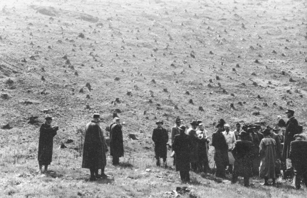 Geschichte der SDW: SDW