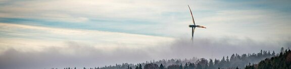 Windenergie im Wald: SDW