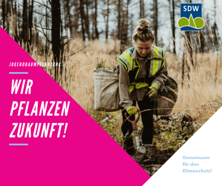 Geschichte der SDW: SDW