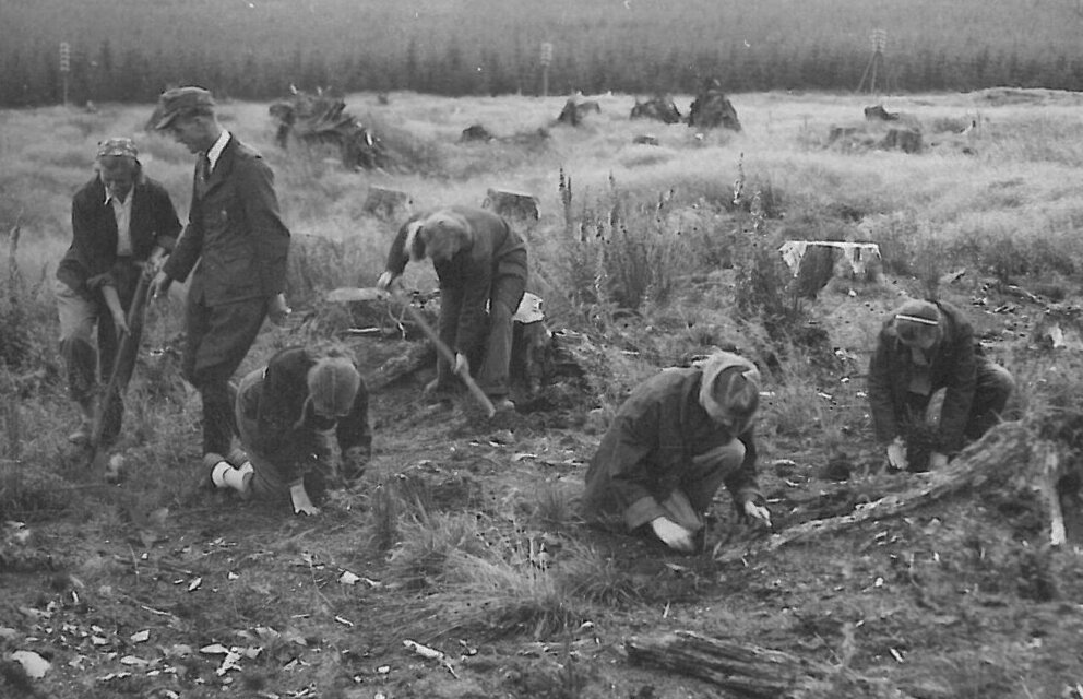 Geschichte der SDW: SDW